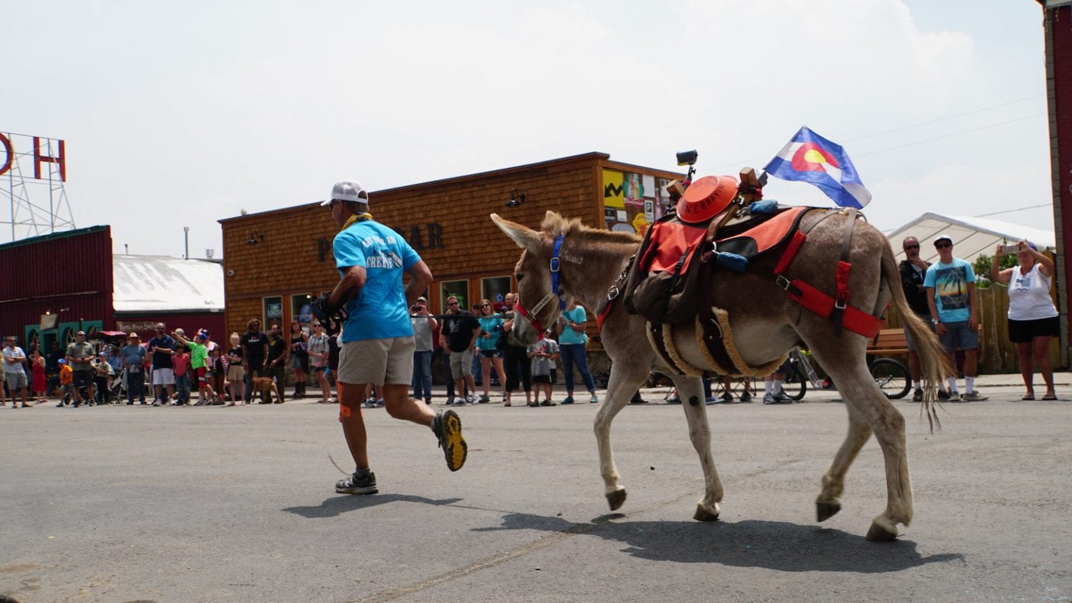 Learn Colorado’s Official State Symbols - Uncover Colorado