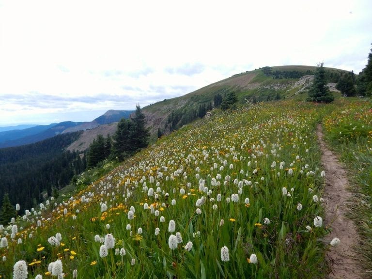 11 Terrific Day Hikes in Durango, CO - Uncover Colorado