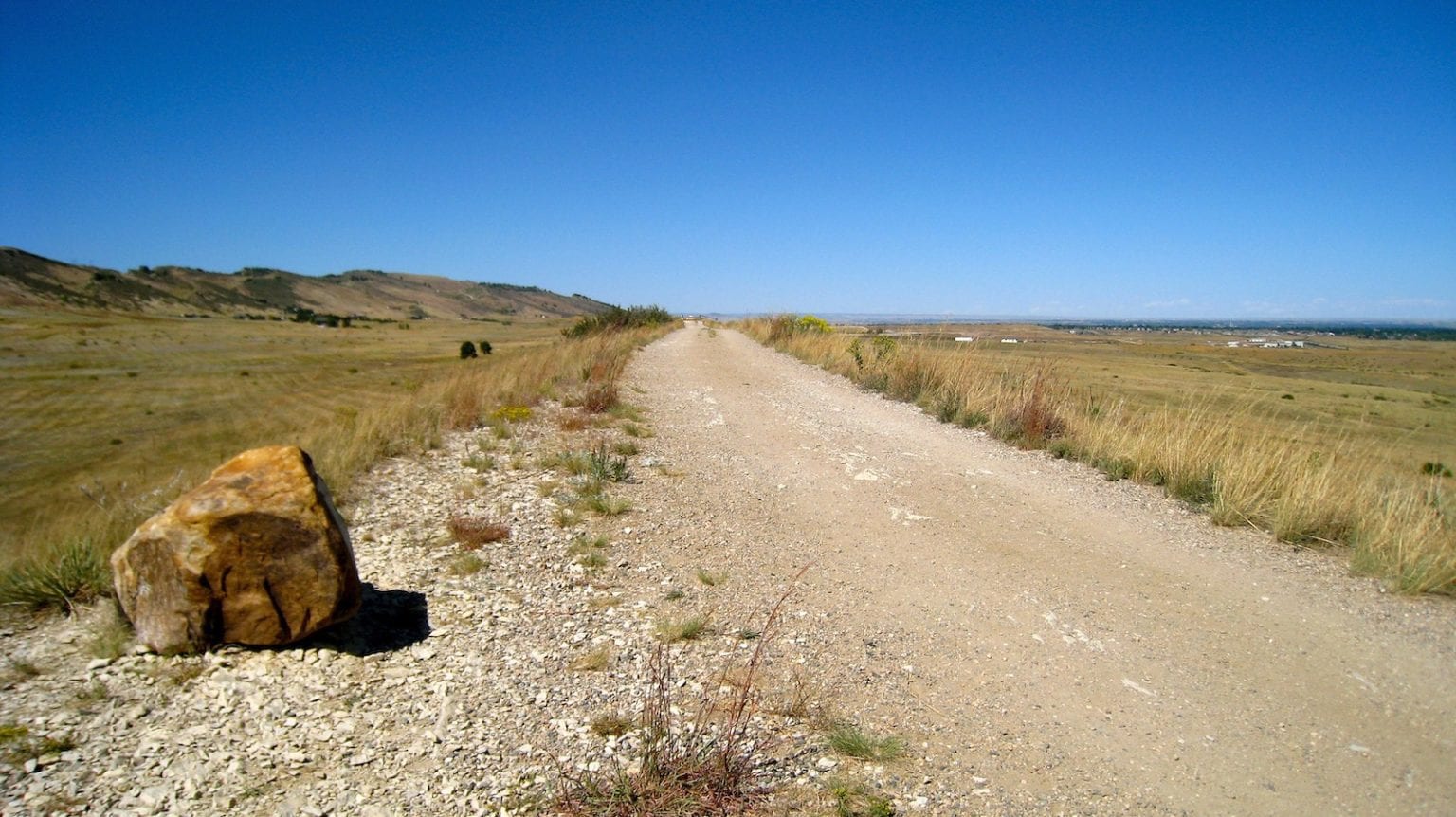 Coyote Ridge Natural Area - Fort Collins, CO - Uncover Colorado