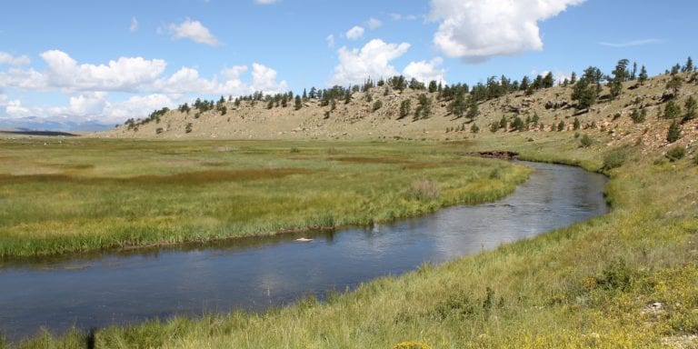 South Platte River - Hartsel-Denver, CO - Uncover Colorado