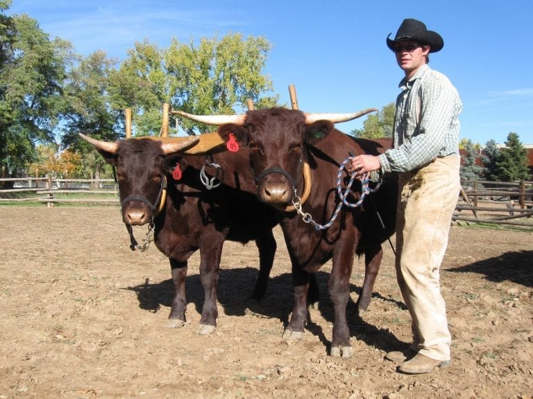 Littleton Museum - Littleton, CO - Uncover Colorado