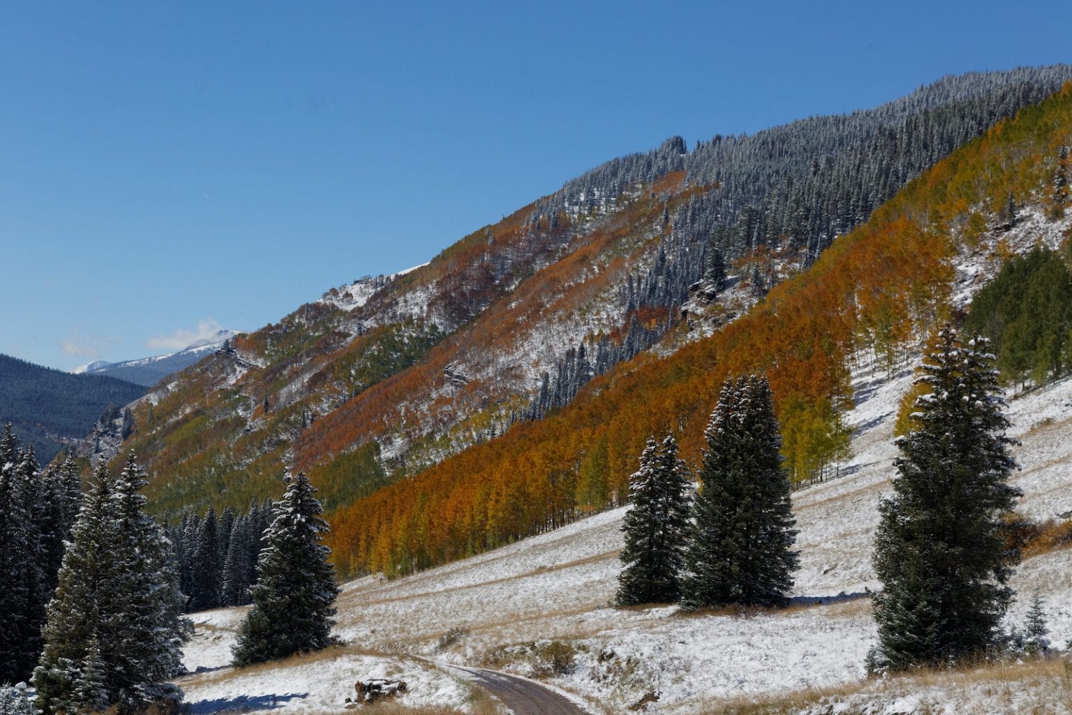 Shrine Pass - Vail-Red Cliff, CO | Shrine Pass Road - Uncover Colorado
