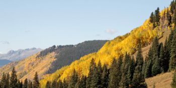 Shrine Pass - Vail-Red Cliff, CO | Shrine Pass Road - Uncover Colorado
