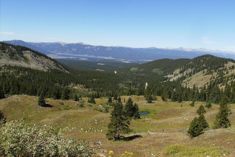 Camping near Almont and Taylor Park Reservoir, Colorado - Uncover Colorado