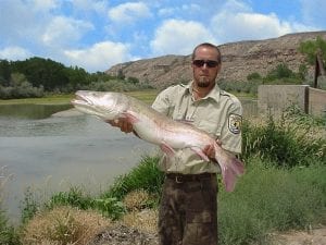 Native Fish Species of Colorado - Uncover Colorado