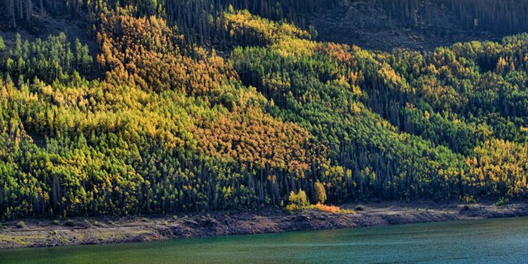Rio Grande National Forest - Southern Colorado - Uncover Colorado