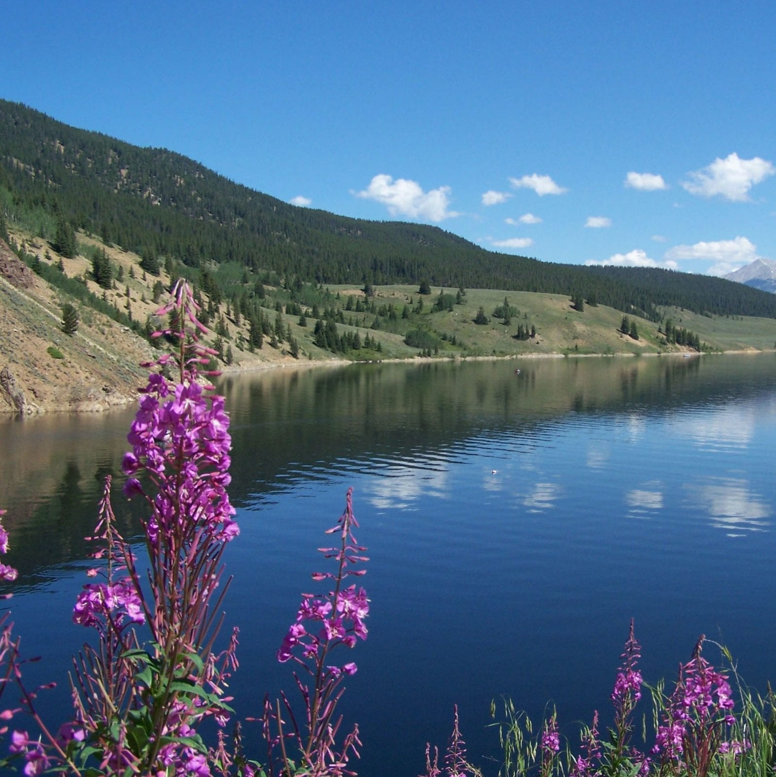 Camping near Almont and Taylor Park Reservoir, Colorado - Uncover Colorado