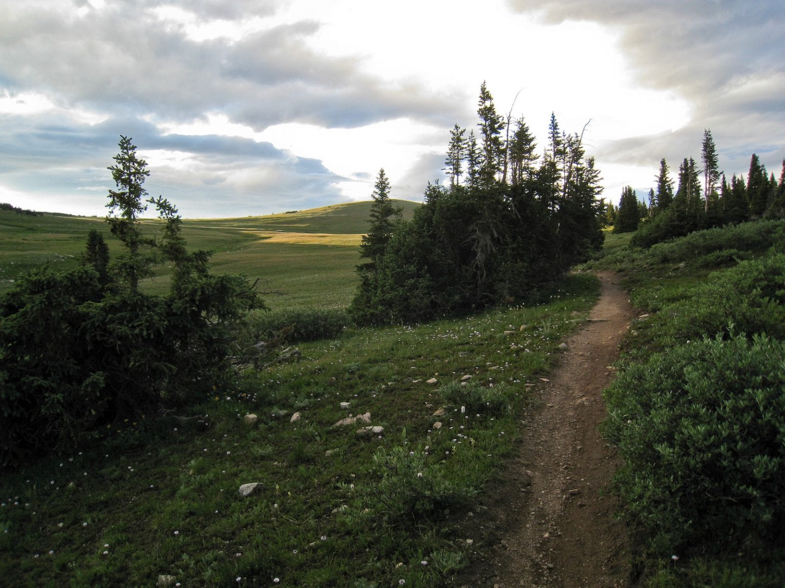 Georgia Pass - Jefferson-Breckenridge, CO | Forest Road 355 - Uncover ...