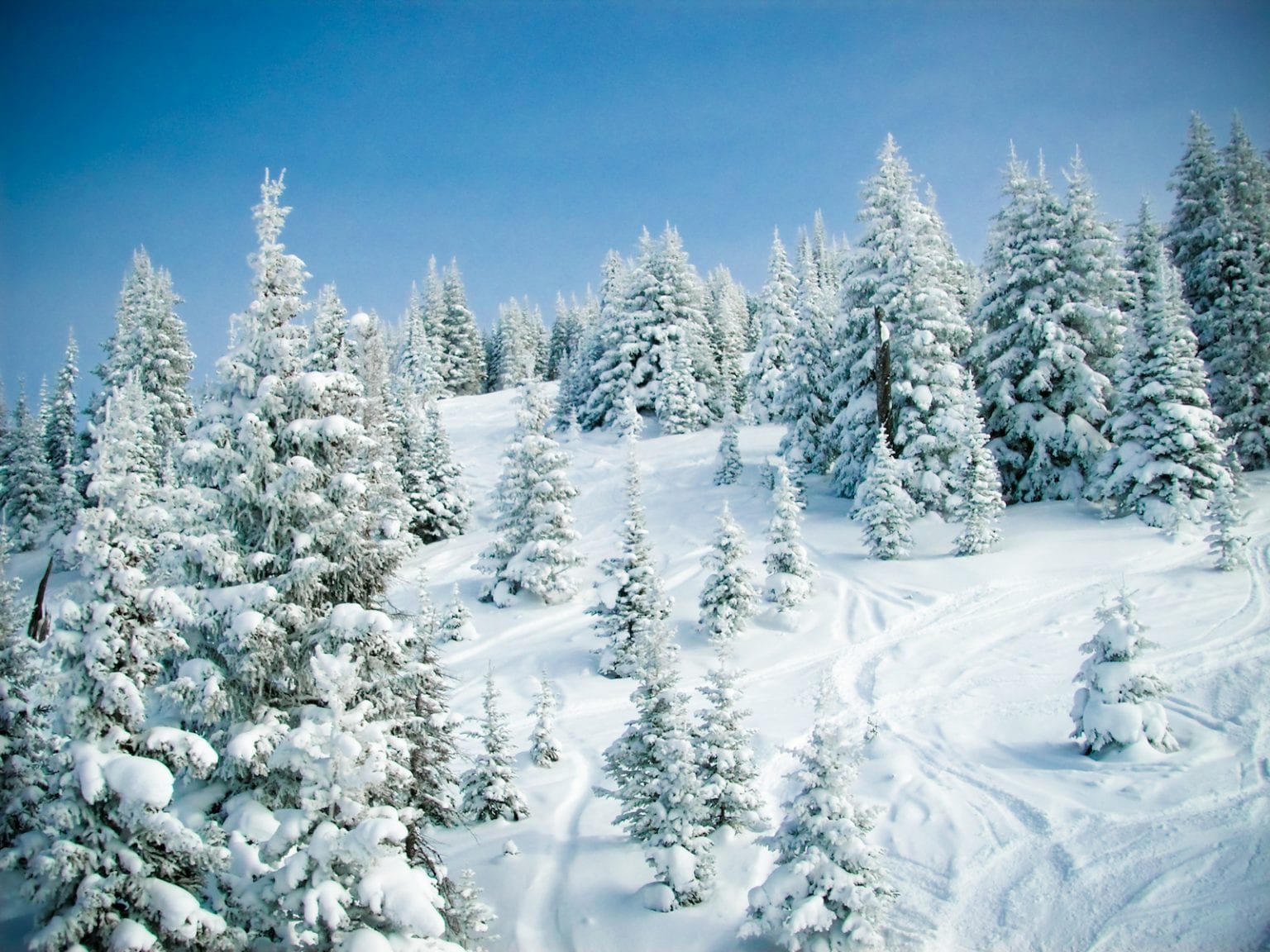 Vail Ski Resort - Vail, CO - Uncover Colorado