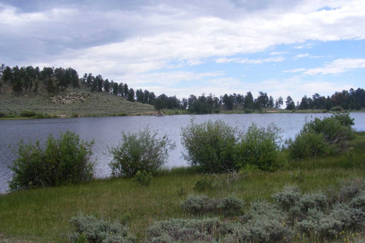 Camping near Red Feather Lakes and the Cache La Poudre River - Uncover ...
