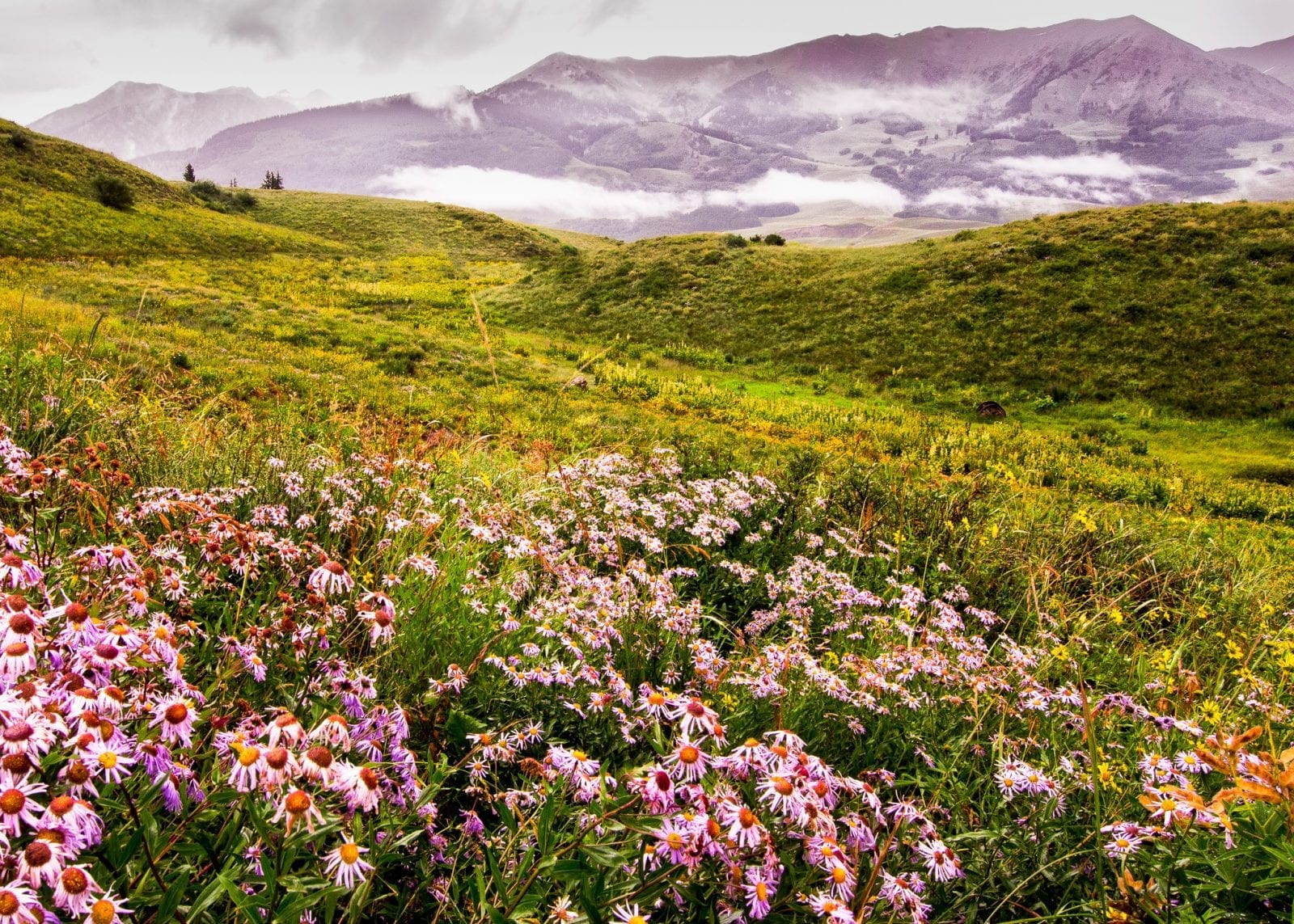 Things to do in July in Colorado | 2025 - Uncover Colorado