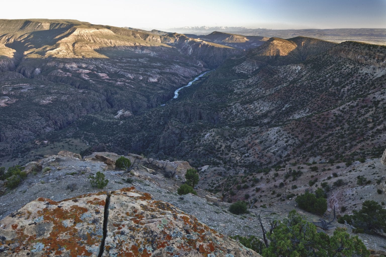 Gunnison River - Grand Junction, CO - Uncover Colorado