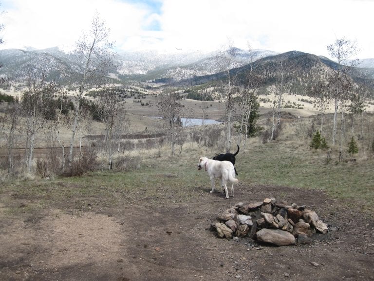 Tarryall Reservoir State Wildlife Area - Jefferson, CO - Uncover Colorado