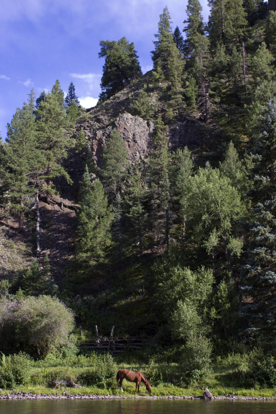 Rio Grande River Whitewater Rafting - Creede, CO - Uncover Colorado