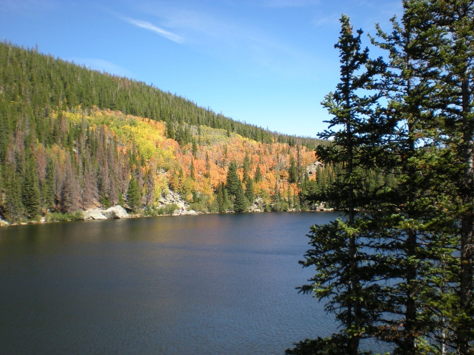 The Best Drives and Hikes in Rocky Mountain NP for Fall Colors ...
