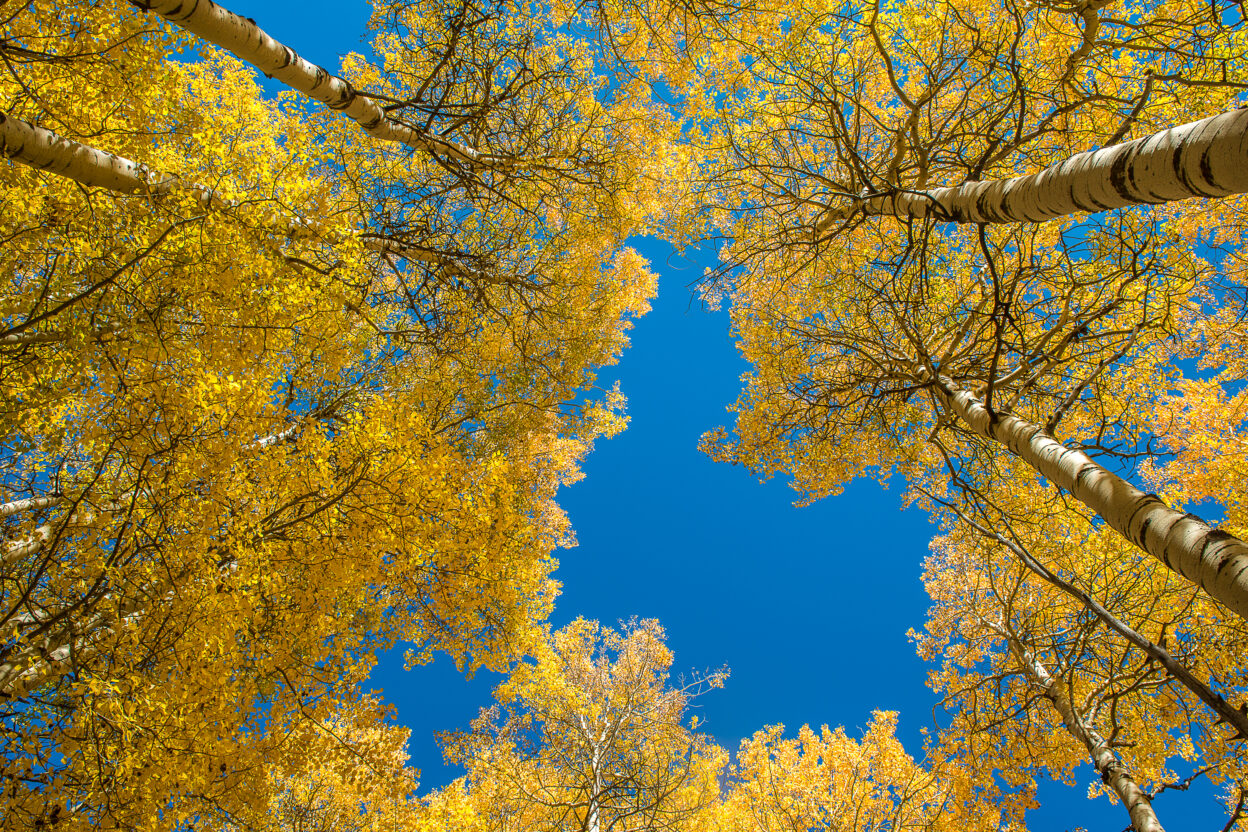 9 Terrific Fall Hikes in Vail, CO | Best Hiking Trails for Fall Colors ...