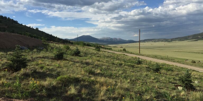 Native Colorado Plants for Landscaping - Uncover Colorado