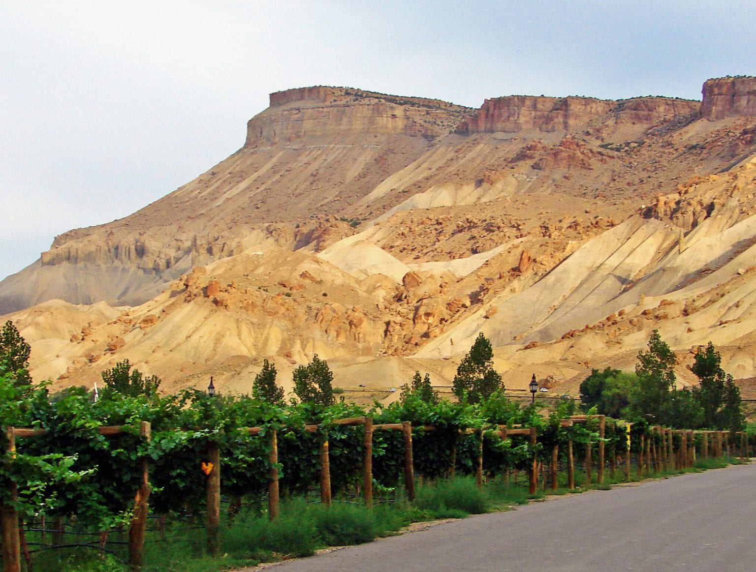 Colorado Wineries and Meaderies | Wine Tastings and Vineyard Tours ...