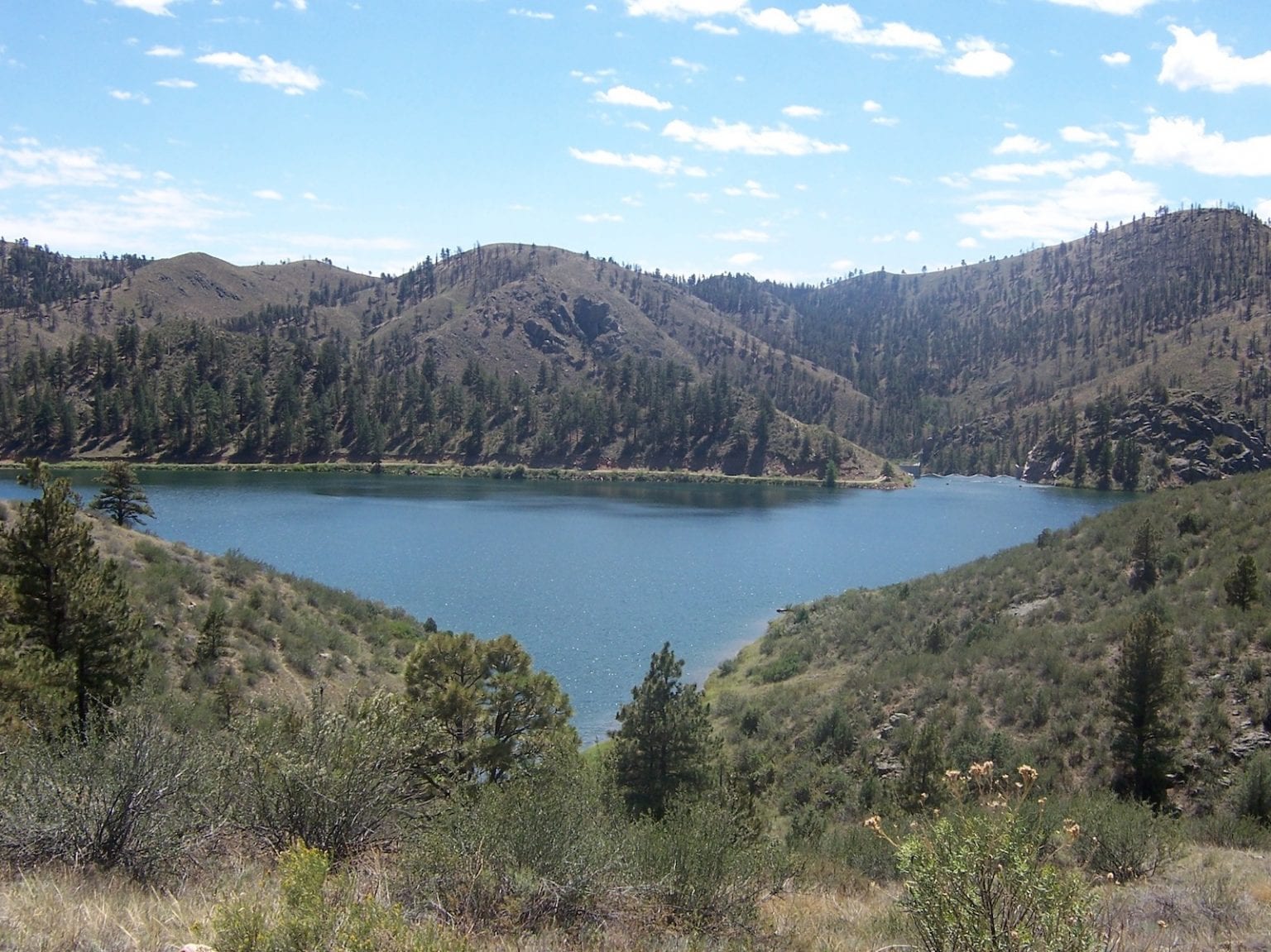11 Fishing Spots Close to Fort Collins, CO - Uncover Colorado