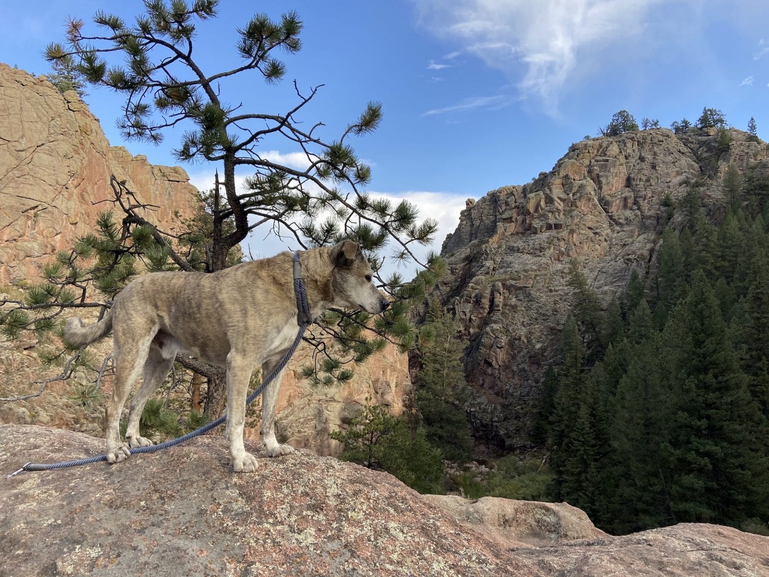 Guffey Gorge (Paradise Cove) - Guffey, CO | Cliff Jumping - Uncover ...