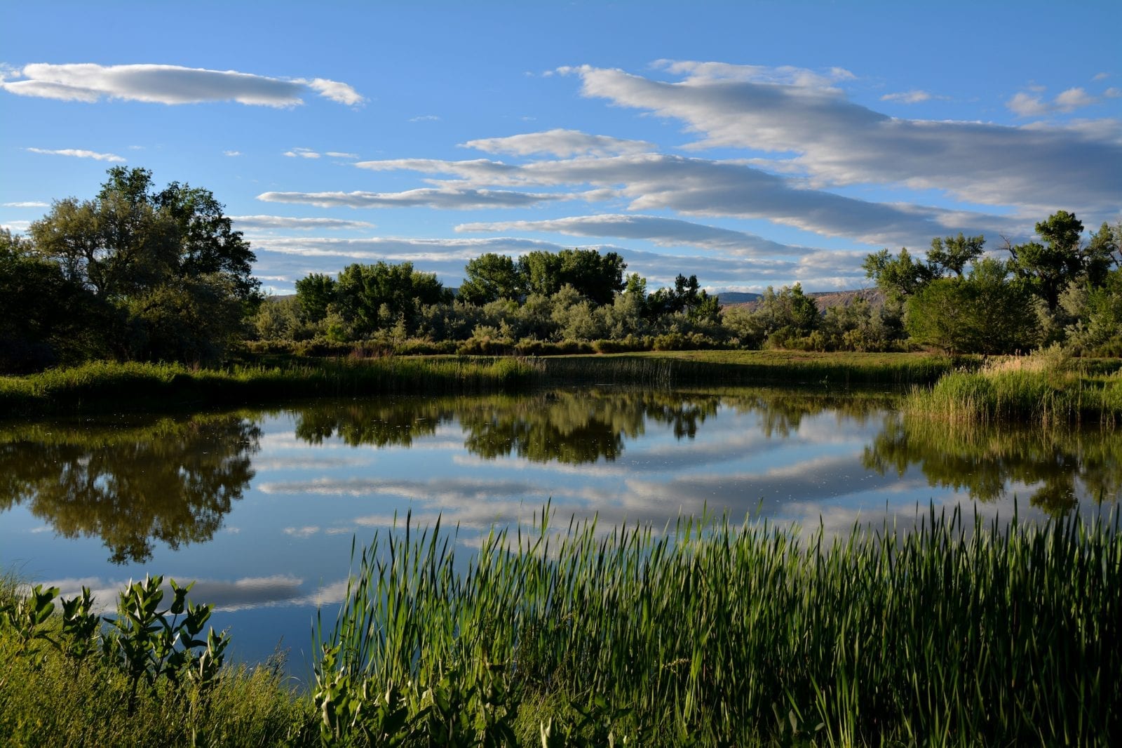 Camping near Rangely and Dinosaur National Monument, CO/UT - Uncover ...