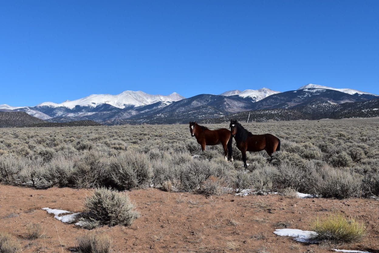 Sanchez Reservoir State Wildlife Area - San Luis, CO - Uncover Colorado