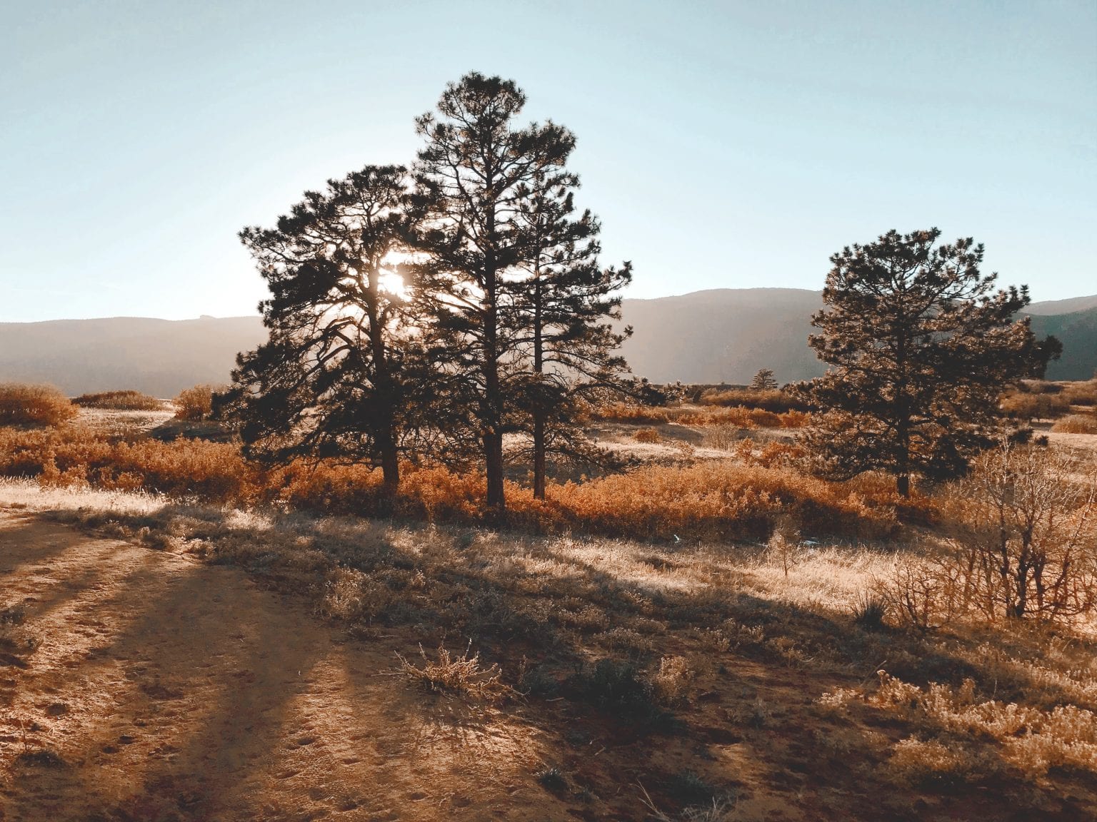 Sandstone Ranch Open Space - Larkspur, CO - Uncover Colorado