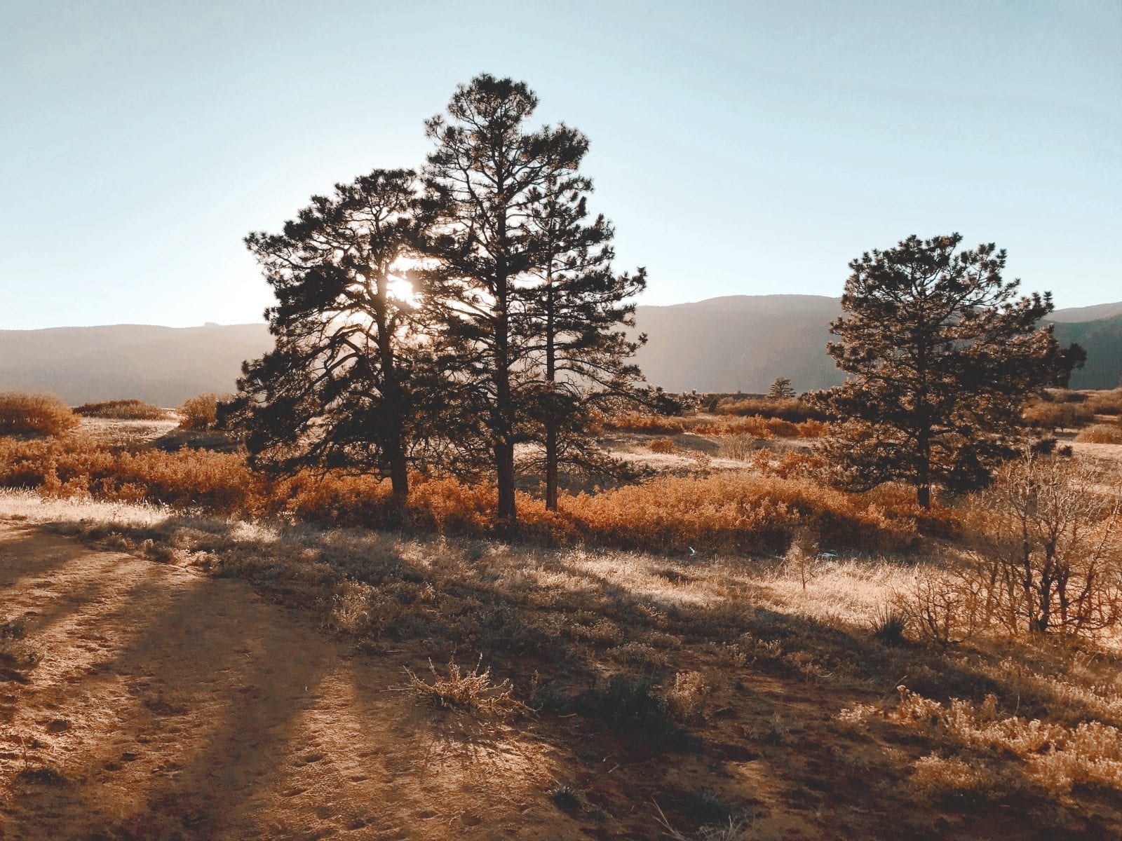 Sandstone Ranch Open Space - Larkspur, CO - Uncover Colorado