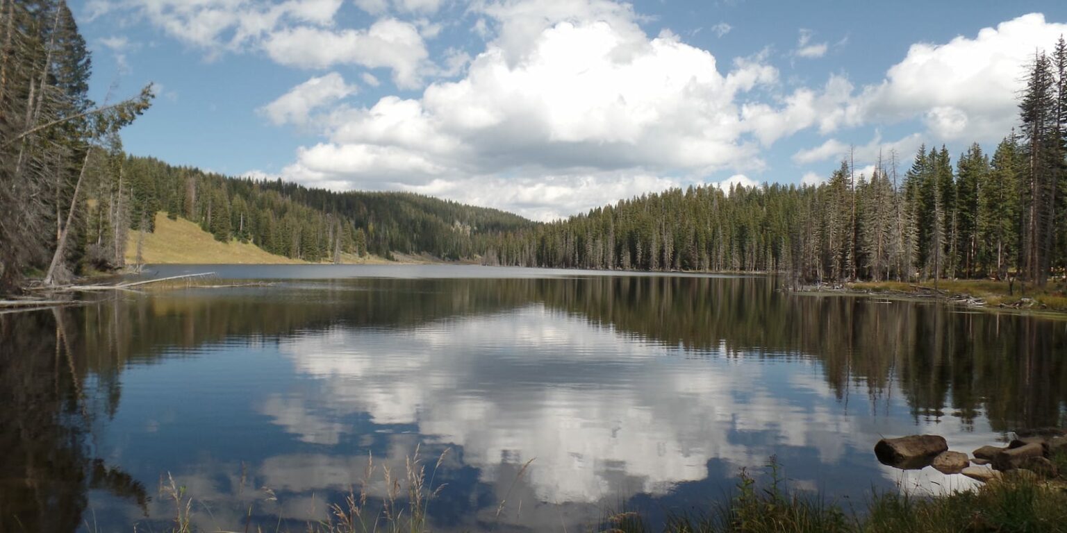 Colorado National Forests | List + Map - Uncover Colorado