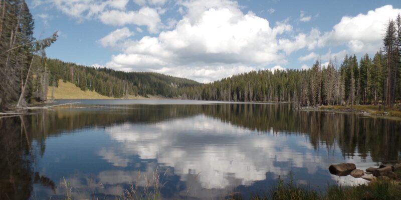 Colorado National Forests | List + Map - Uncover Colorado