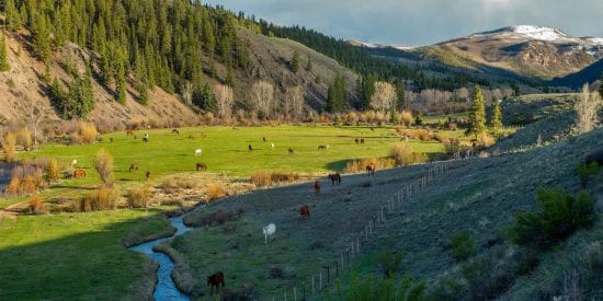 The Best Dude Ranches in Colorado - Uncover Colorado