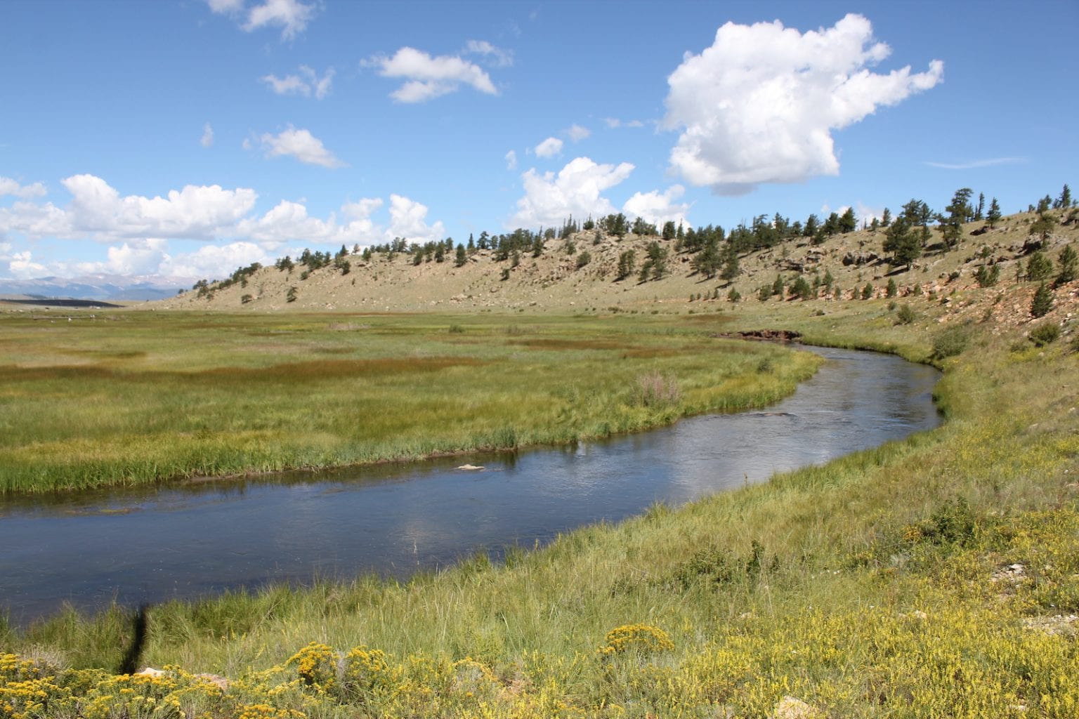 Gold Medal Waters in Colorado | Best Trout Fishing Rivers and Lakes ...