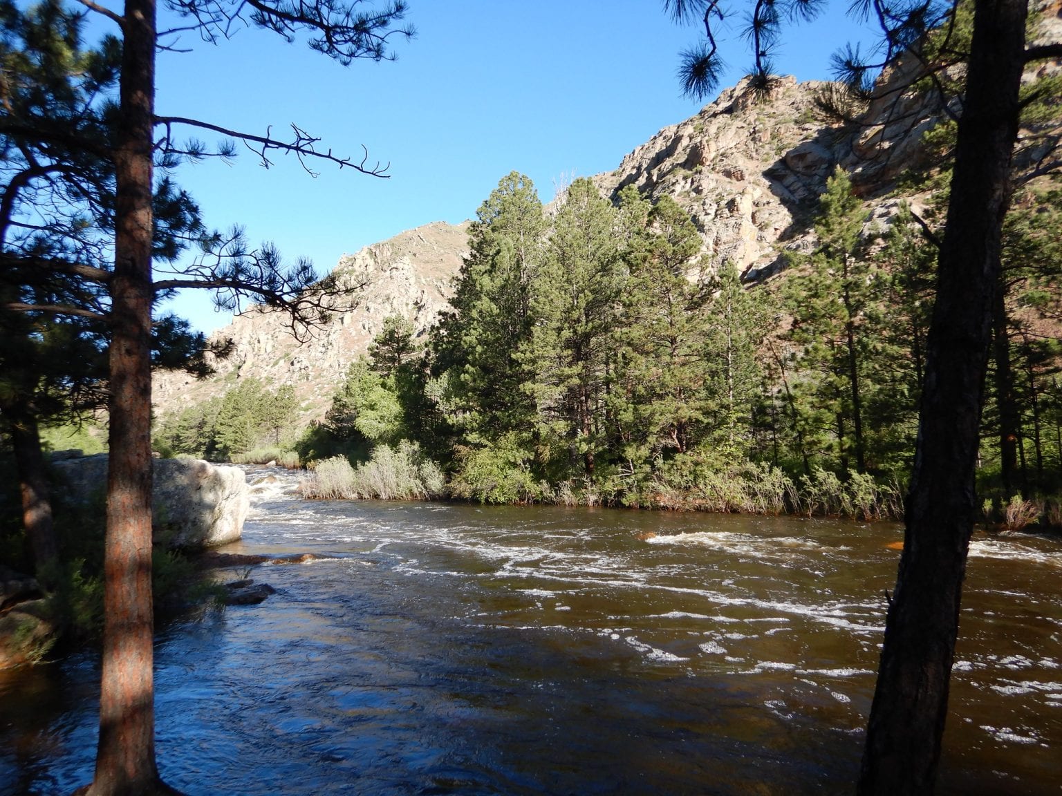 Cache La Poudre River - near Fort Collins-Greeley, CO - Uncover Colorado