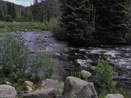 Fryingpan River - near Basalt, CO | White River National Forest ...