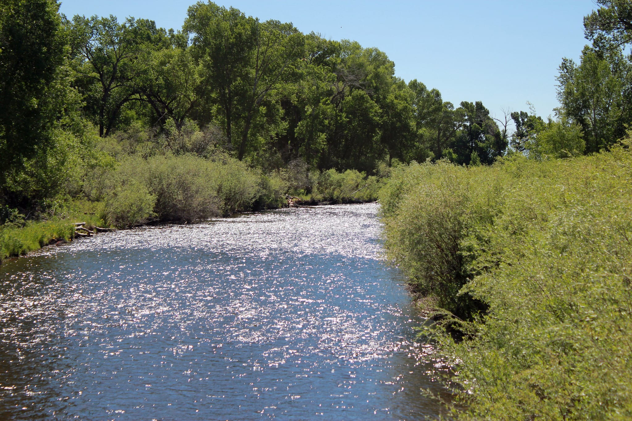 Conejos River - near Conejos-Manassa, CO | Rio Grande National Forest ...