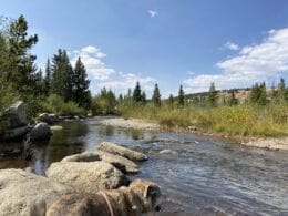 Fairplay Beach - Fairplay, CO - Uncover Colorado