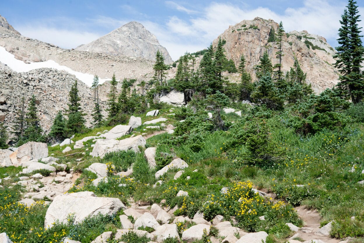Top Things To Do In Nederland, Colorado - Uncover Colorado