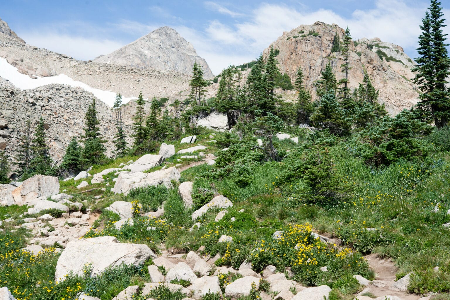 Top Things To Do In Nederland, Colorado - Uncover Colorado