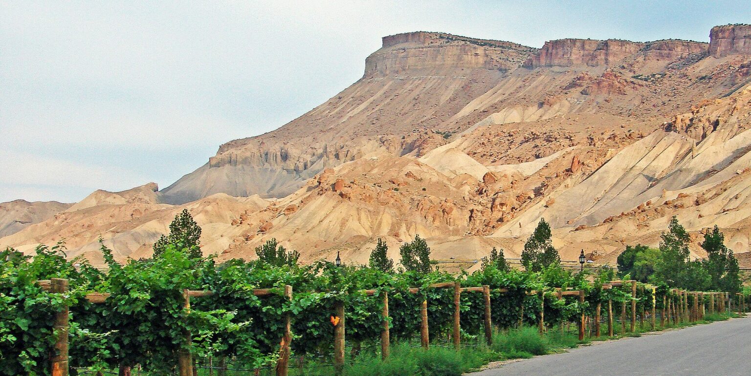 Top things to do in Palisade, Colorado - Uncover Colorado