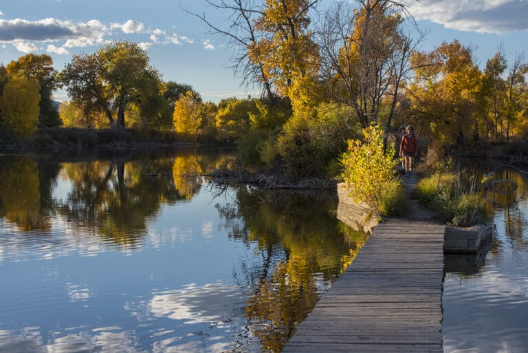 Riverbend Ponds Natural Area - Fort Collins, CO - Uncover Colorado