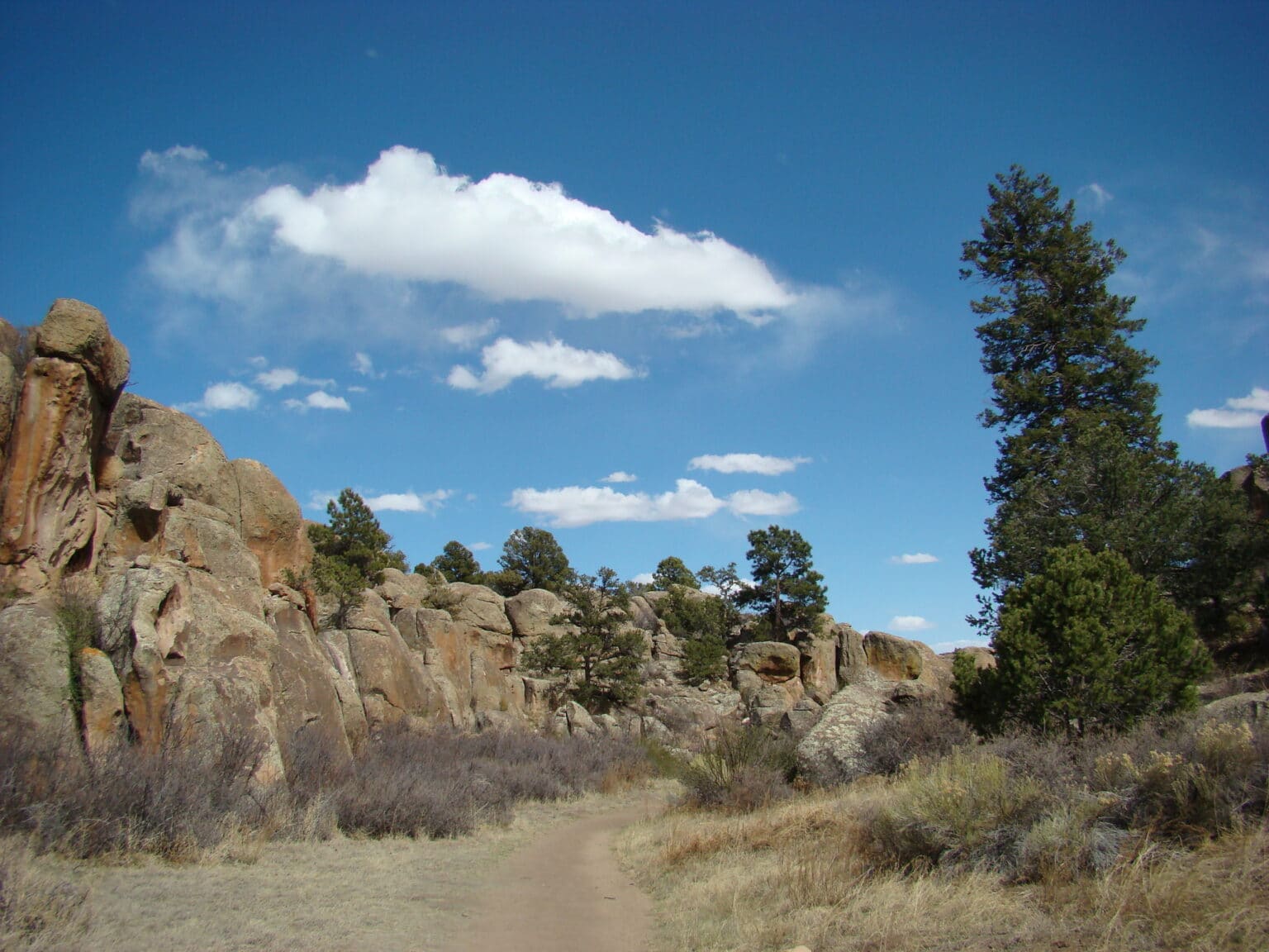 Top Things To Do in Alamosa, Colorado - Uncover Colorado