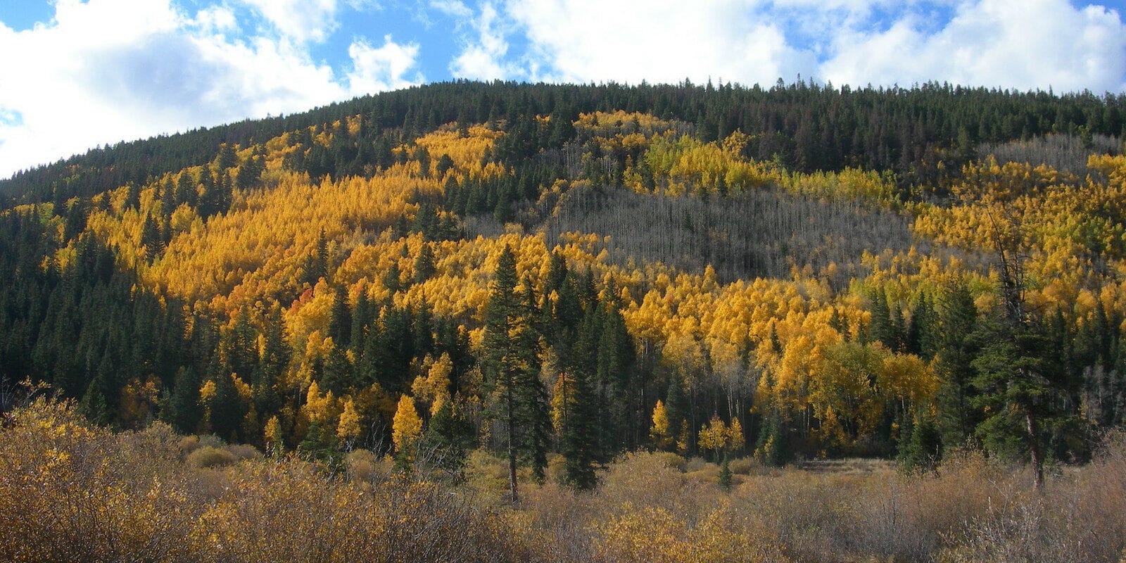 Wheeler Lake - near Alma and Breckenridge, CO - Uncover Colorado