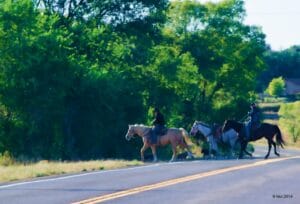 Colorado Hunting Seasons for Small Game, Big Game, Waterfowl and more ...