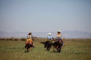 Zepata Ranch | Working dude ranch resort in Mosca, CO - Uncover Colorado