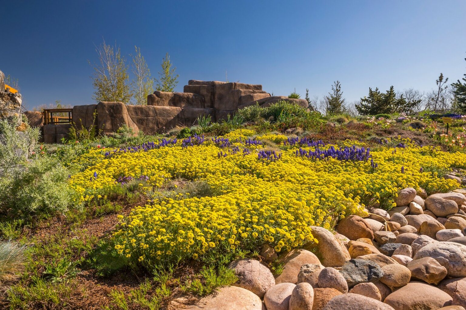 Denver Botanic Gardens - Denver, CO - Uncover Colorado