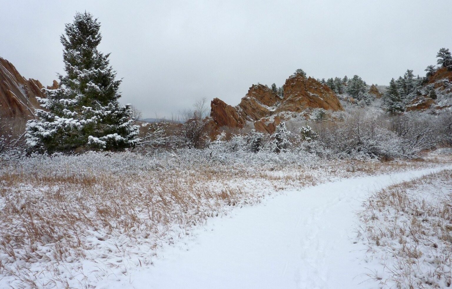 The Best Cross Country Skiing near Denver - Uncover Colorado