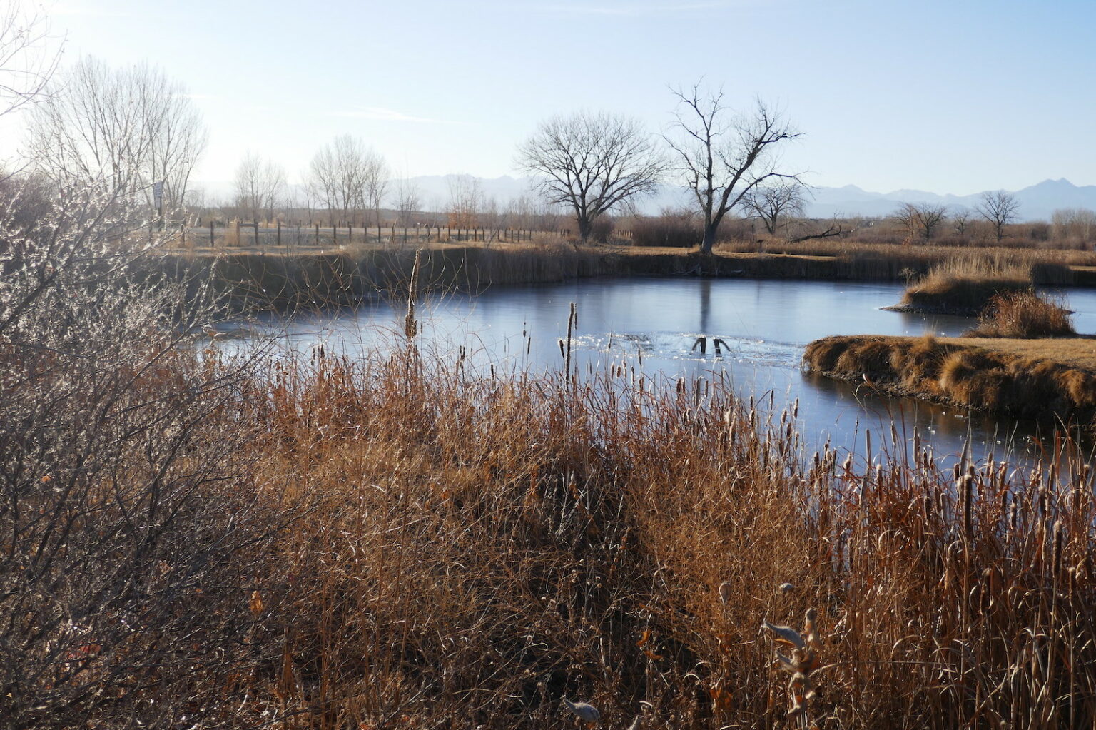 Top Things To Do In Longmont, Colorado - Uncover Colorado