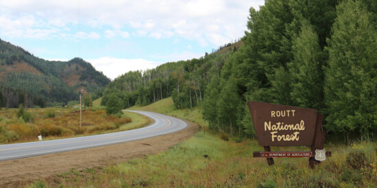 Colorado National Forests | List + Map - Uncover Colorado