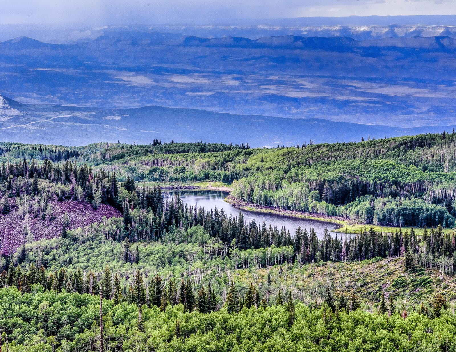 Grand Mesa National Forest - Western Colorado - Uncover Colorado