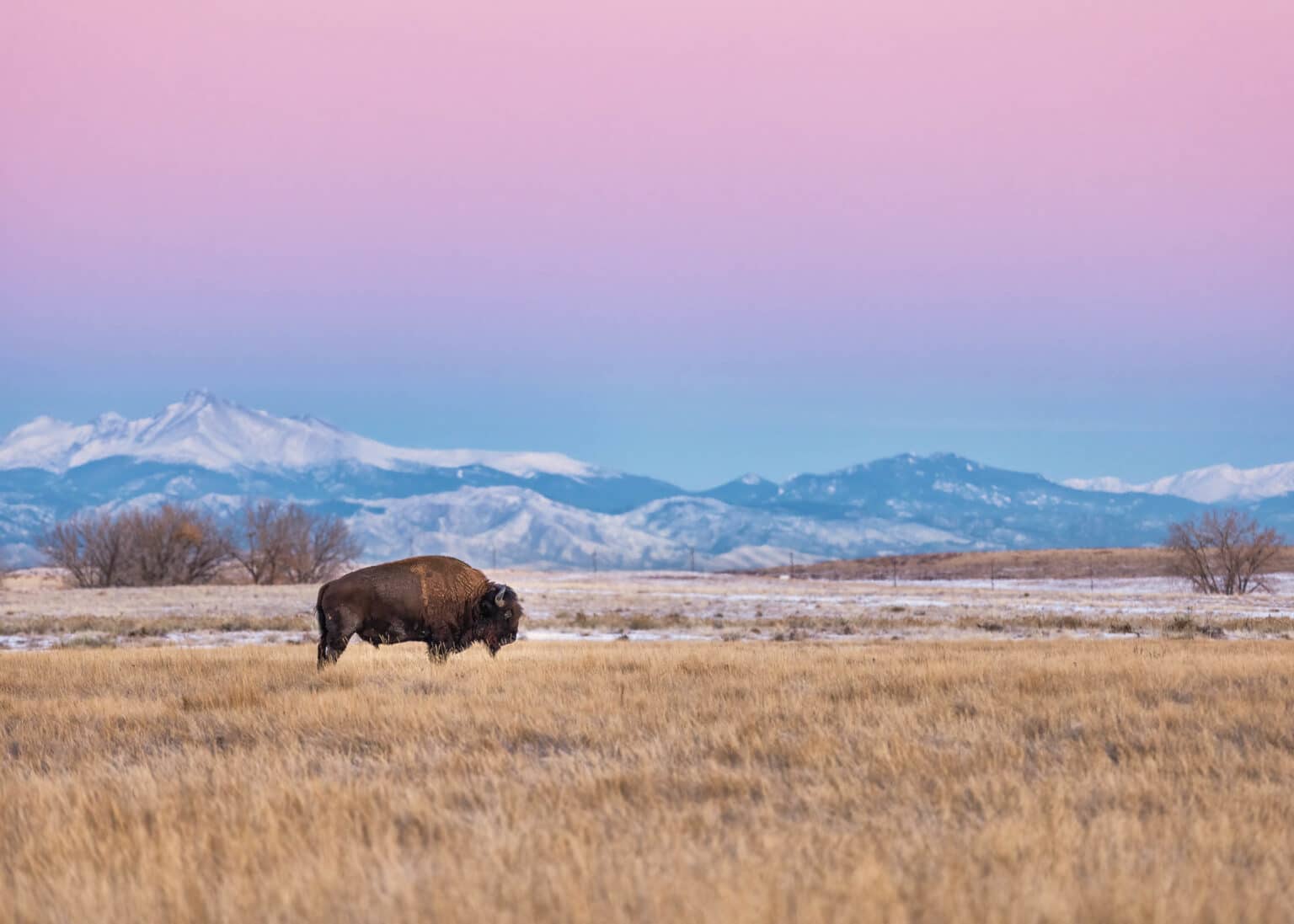 Commerce City, Colorado | Adams County - Uncover Colorado